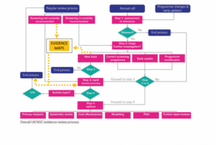 Silvia Lombardo – UK National Screening Committee