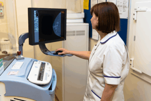 Stakeholders provide valuable feedback on breast density and screening ...